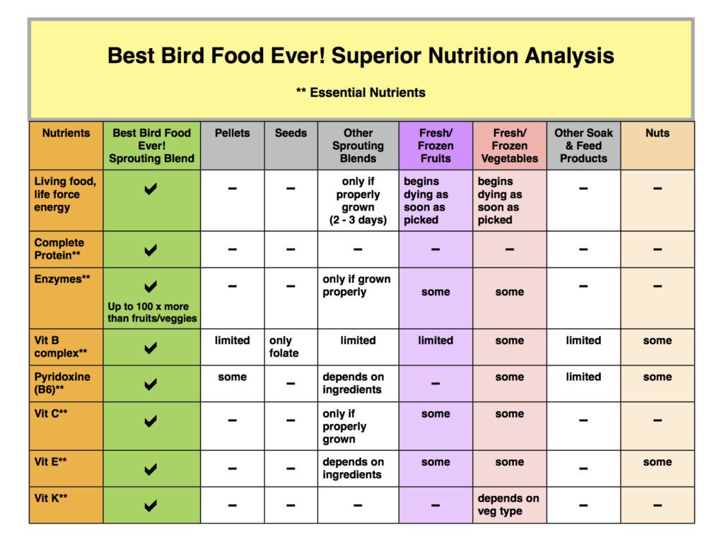 Superior Nutrition, BBFE Complete Analysis – Best Bird Food Ever!