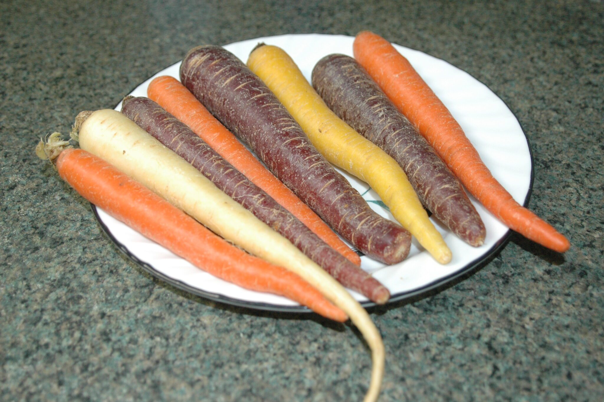 Carrots for Parrots - All You Need To Know | Best Bird Food Ever